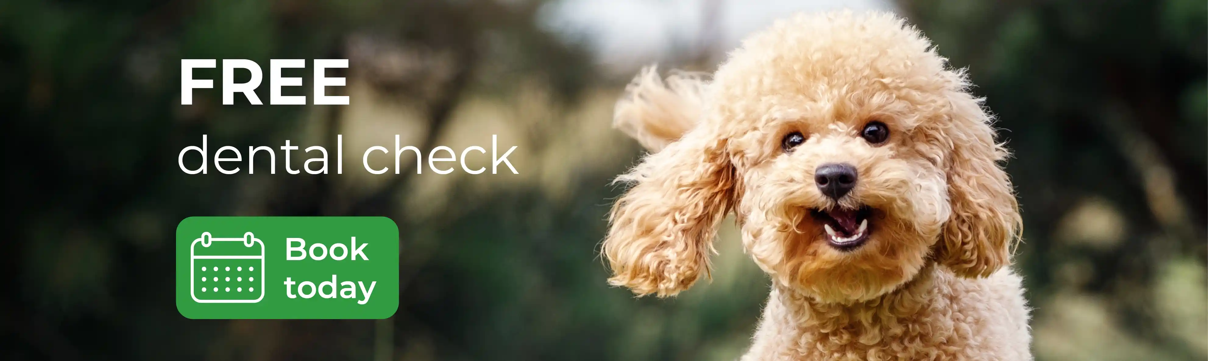 Avonvale Veterinary Centres in Warwickshire